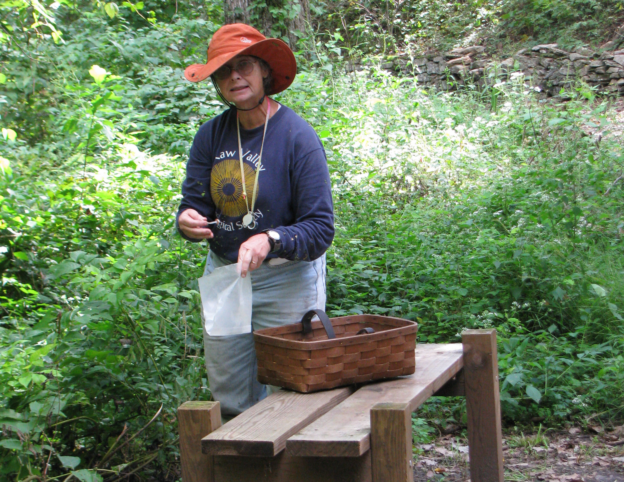 ‘New finds await’: Field guide updates record of Kansas mushrooms ...